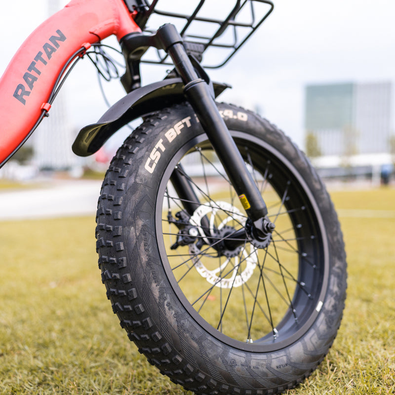 Rattan LF 750W Step Through Foldable Fat Tire ebike